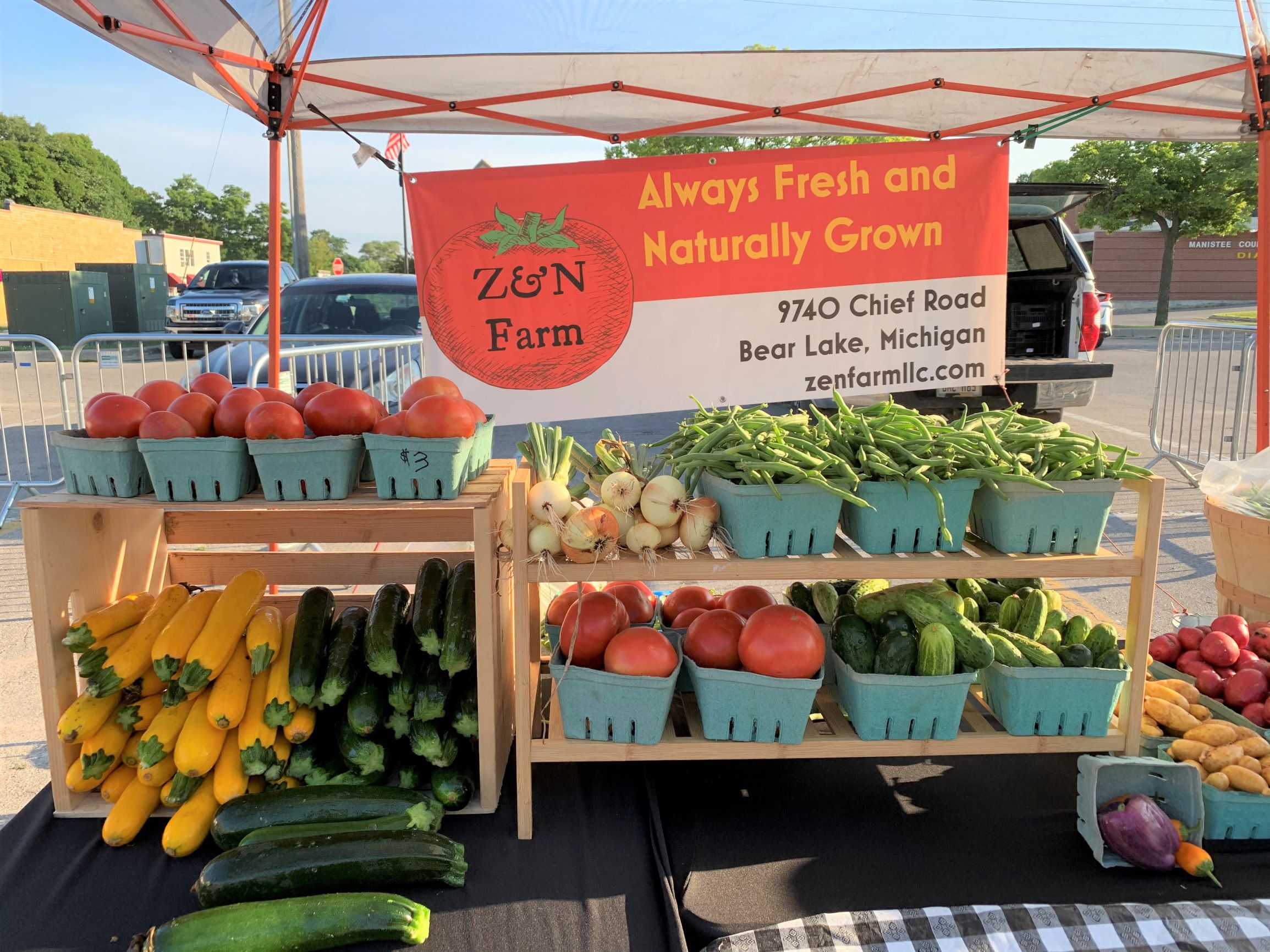 Planting seeds of hope at Z&N Farm - Freshwater Reporter