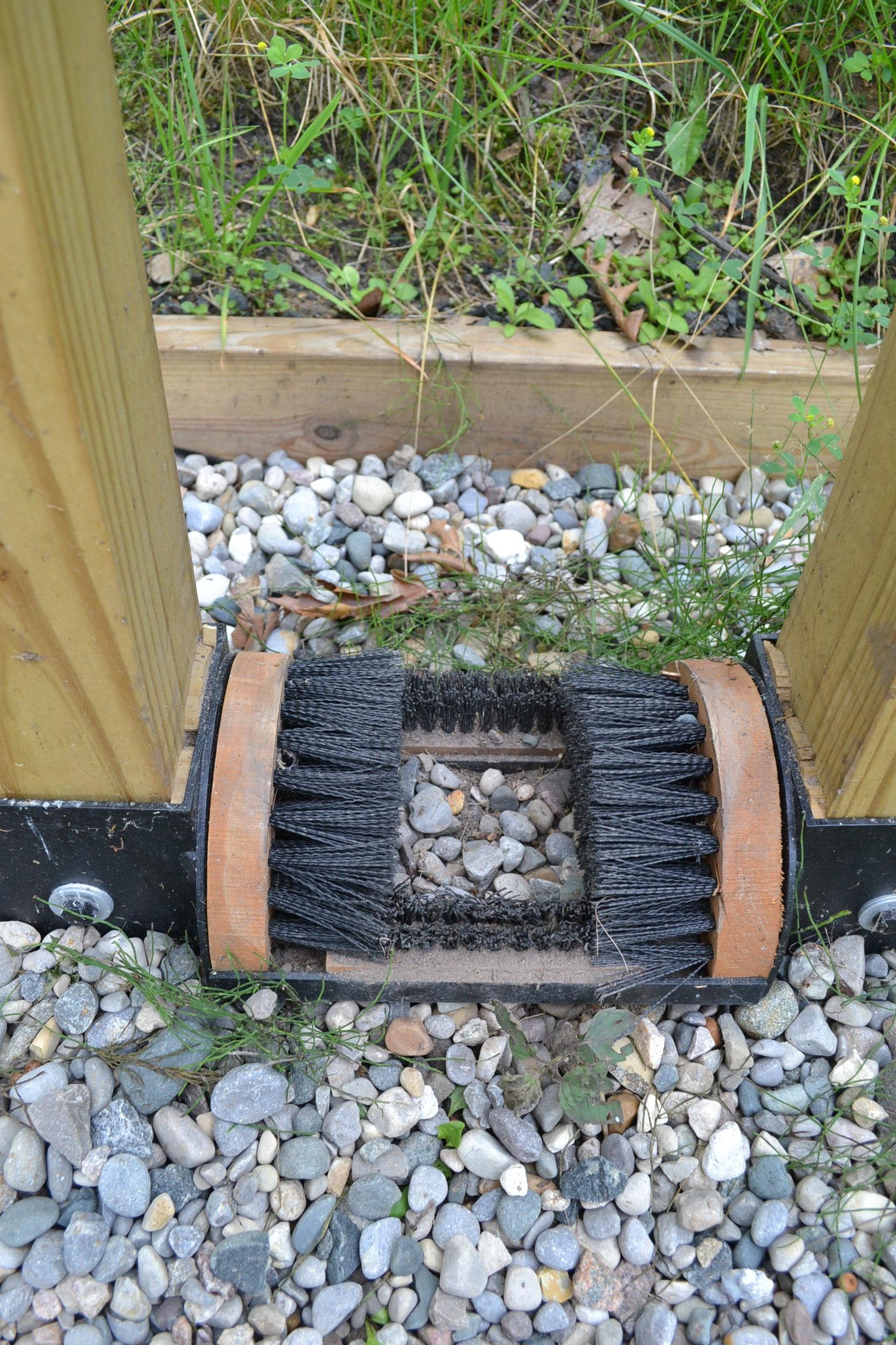 Cleanse your soles - Freshwater Reporter