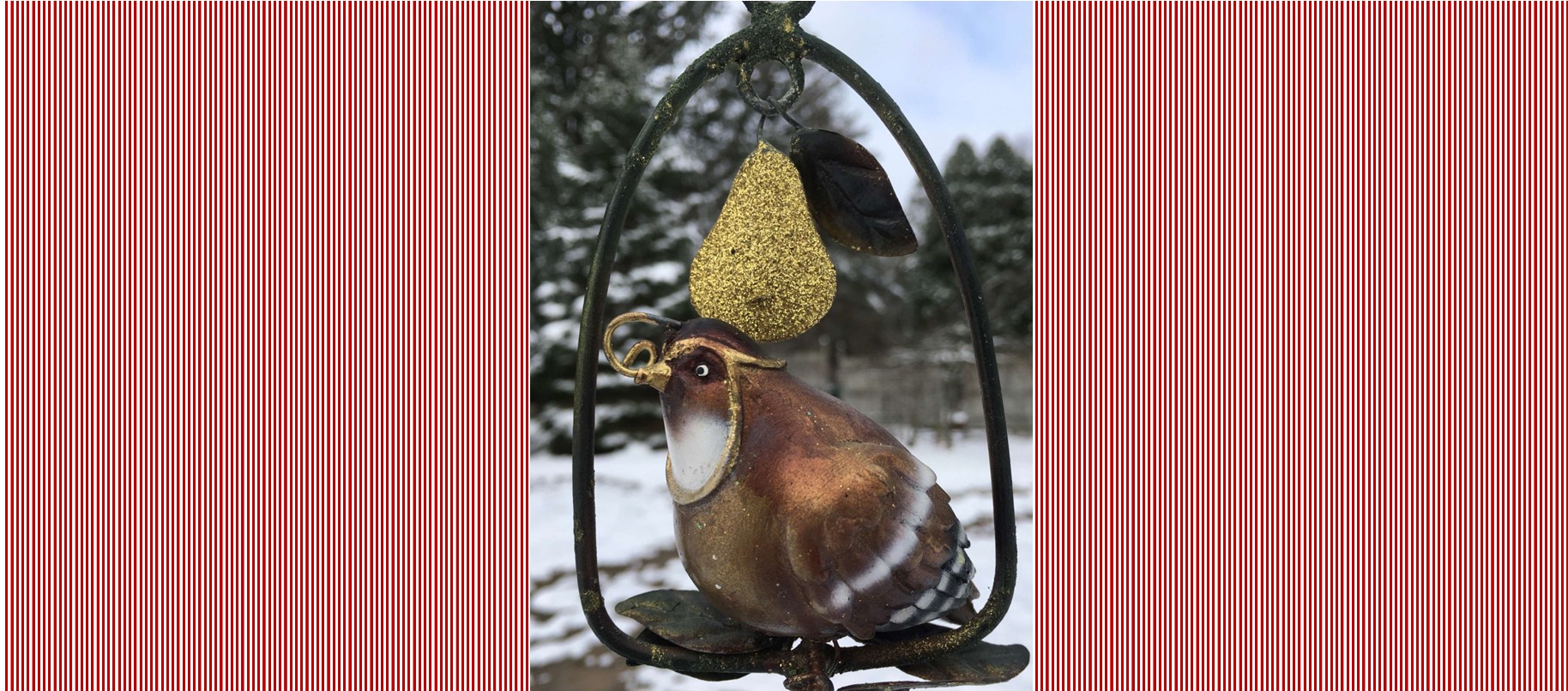 Radianza - Freshwater Reporter