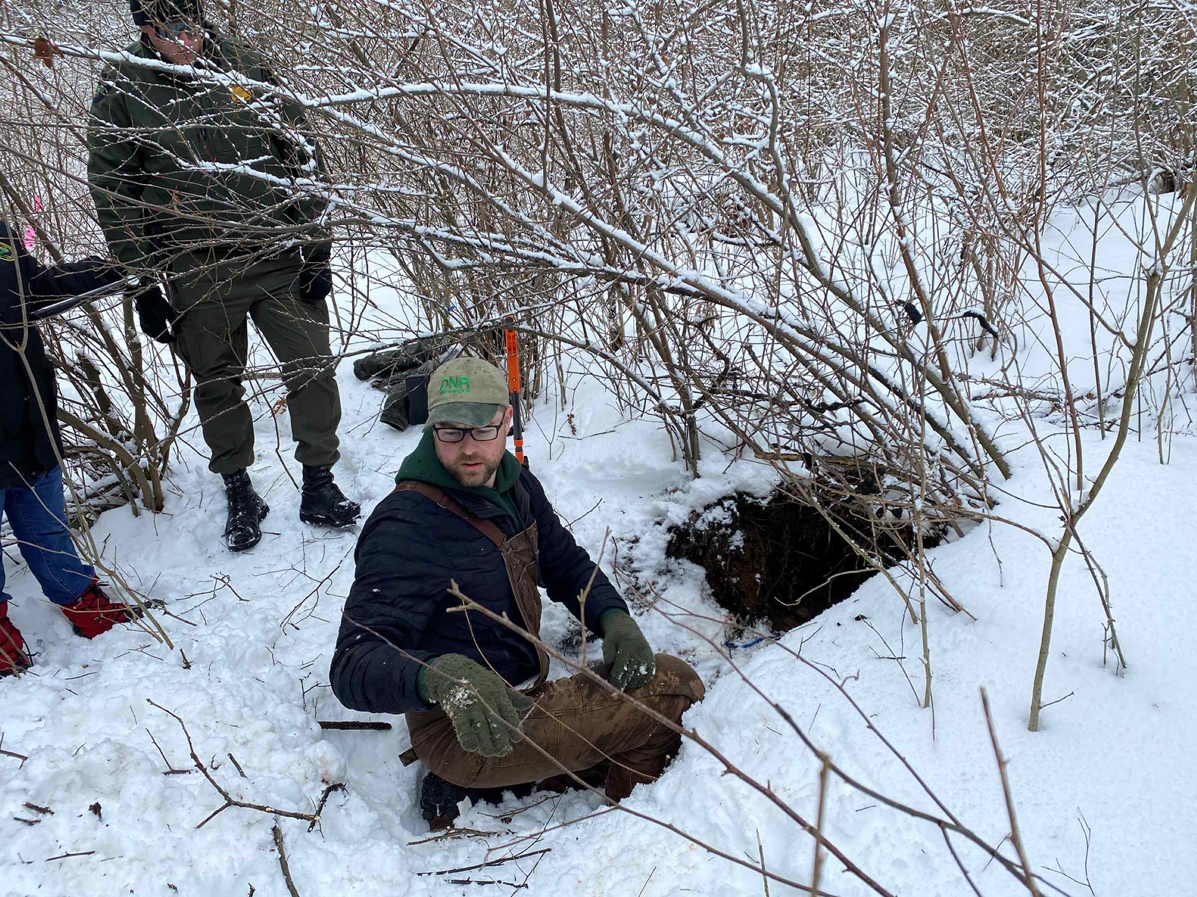 Spot a bear den? Tell the MDNR - Freshwater Reporter